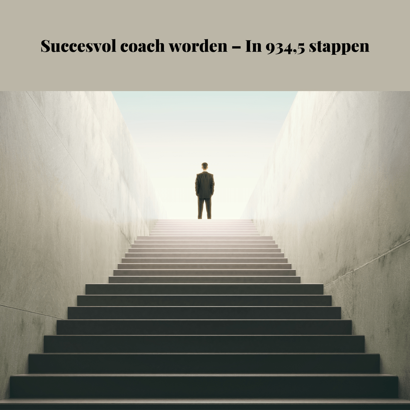 Succesvol coach worden in 9345-stappen